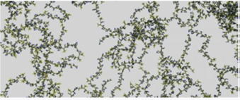 Materials Modeling and Simulation | Commercial Software